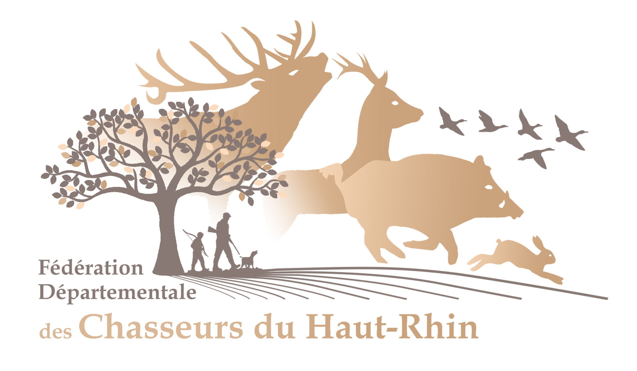 Fédération Départementale Des Chasseurs Du Haut Rhin